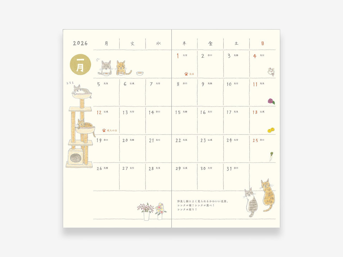 Pocket Diary Midori 2026 Pocket Monthly Diary Slim - Cat Pattern ...